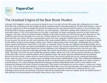 The Unsolved Enigma of the Bear Brook Murders - Free Essay Example ...