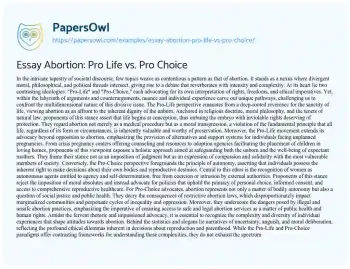 Essay Abortion: Pro Life vs. Pro Choice - Free Essay Example - 588 ...