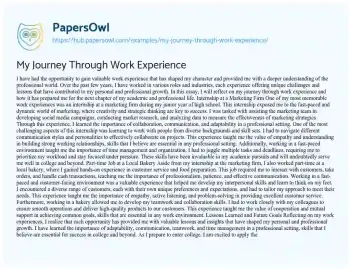 My Journey Through Work Experience - Free Essay Example - 676 Words ...